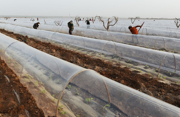 NW China's Xinjiang pursues suitable development path, helps locals ...