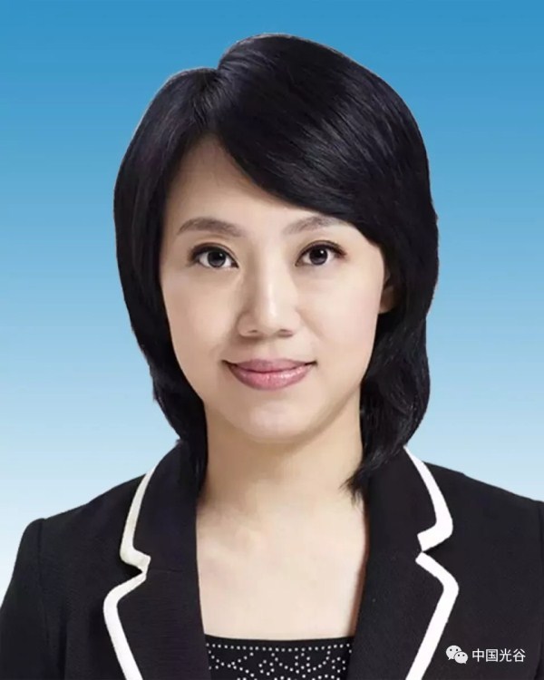Chen Ping appointed to new position