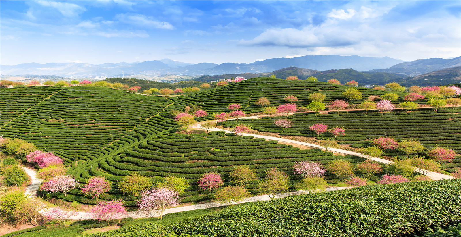 Fujian，China-local news, culture, travel