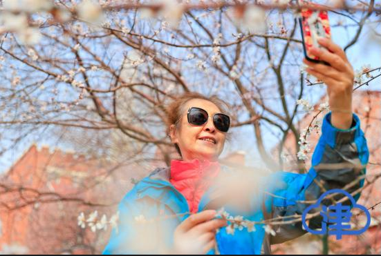 Tianjin to embrace Spring blooms - Exploring Tianjin